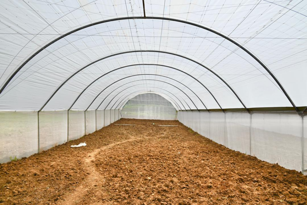 Larson Financial Foundation's Global Impact: The African Christian ...