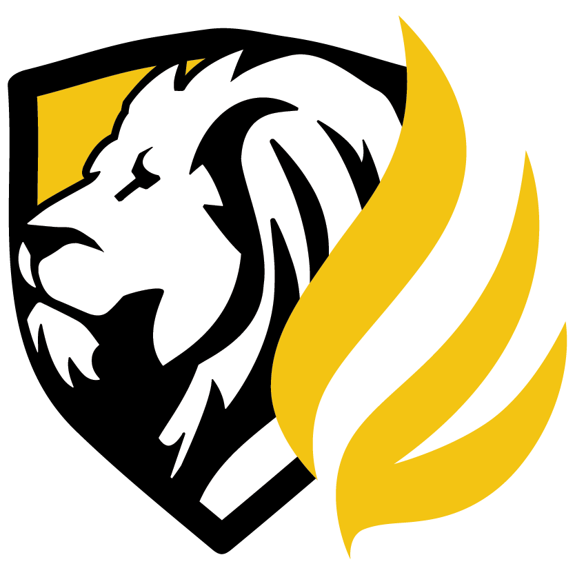 Strategic Financial Advisory Services | Larson Financial Holdings